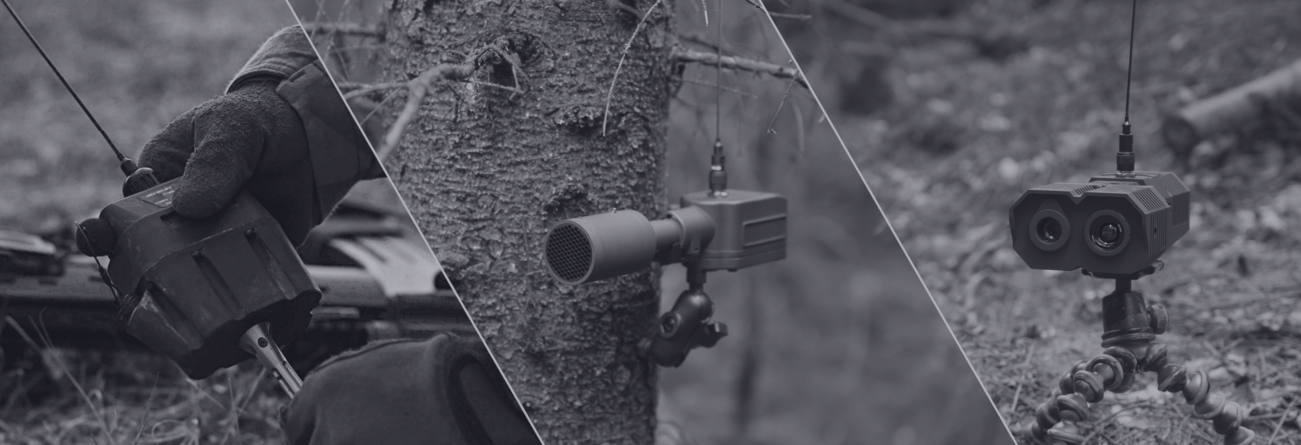 Careers - Bertin Exensor