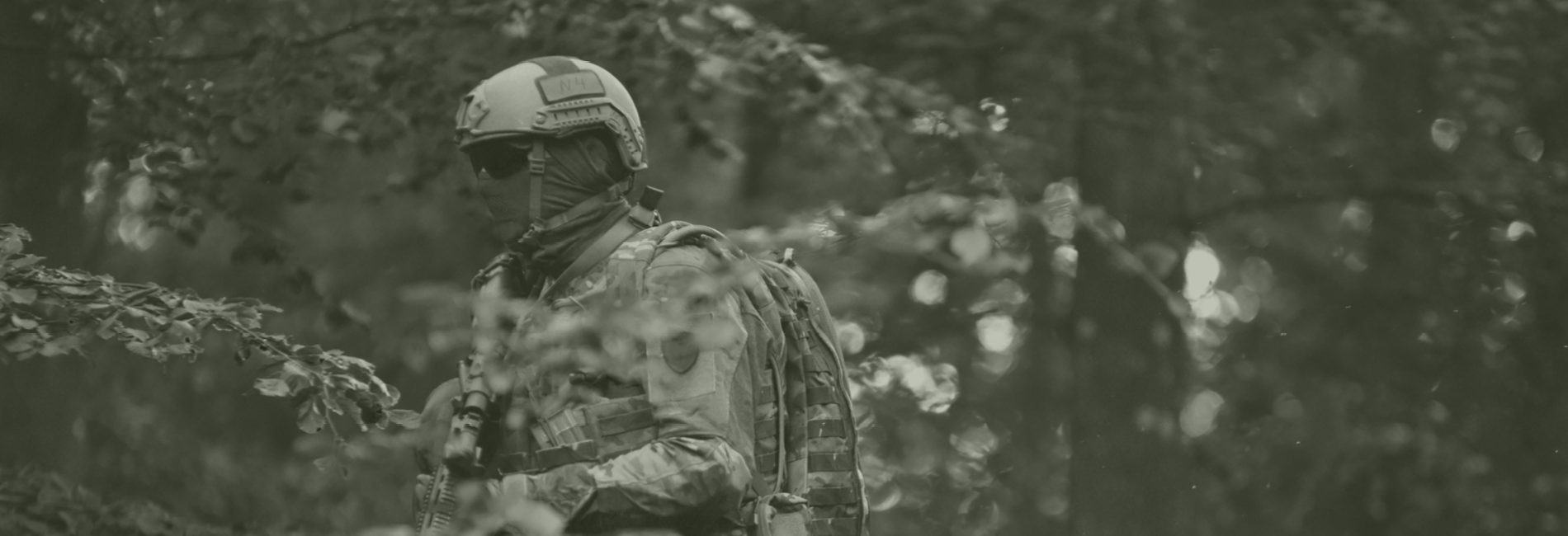 Flexnet UGS protection & surveillance sensors - Exensor