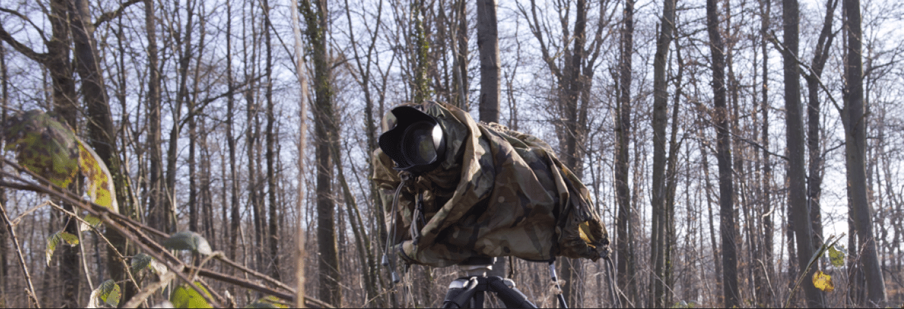 Long-range surveillance - Bertin Exensor